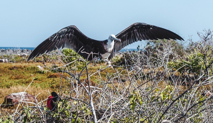 Ecuador backpacking bucketlist: Ecuador's top spots to visit