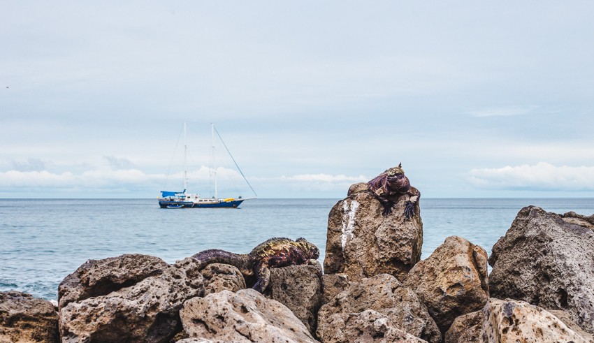 Ecuador backpacking bucketlist: Ecuador's top spots to visit